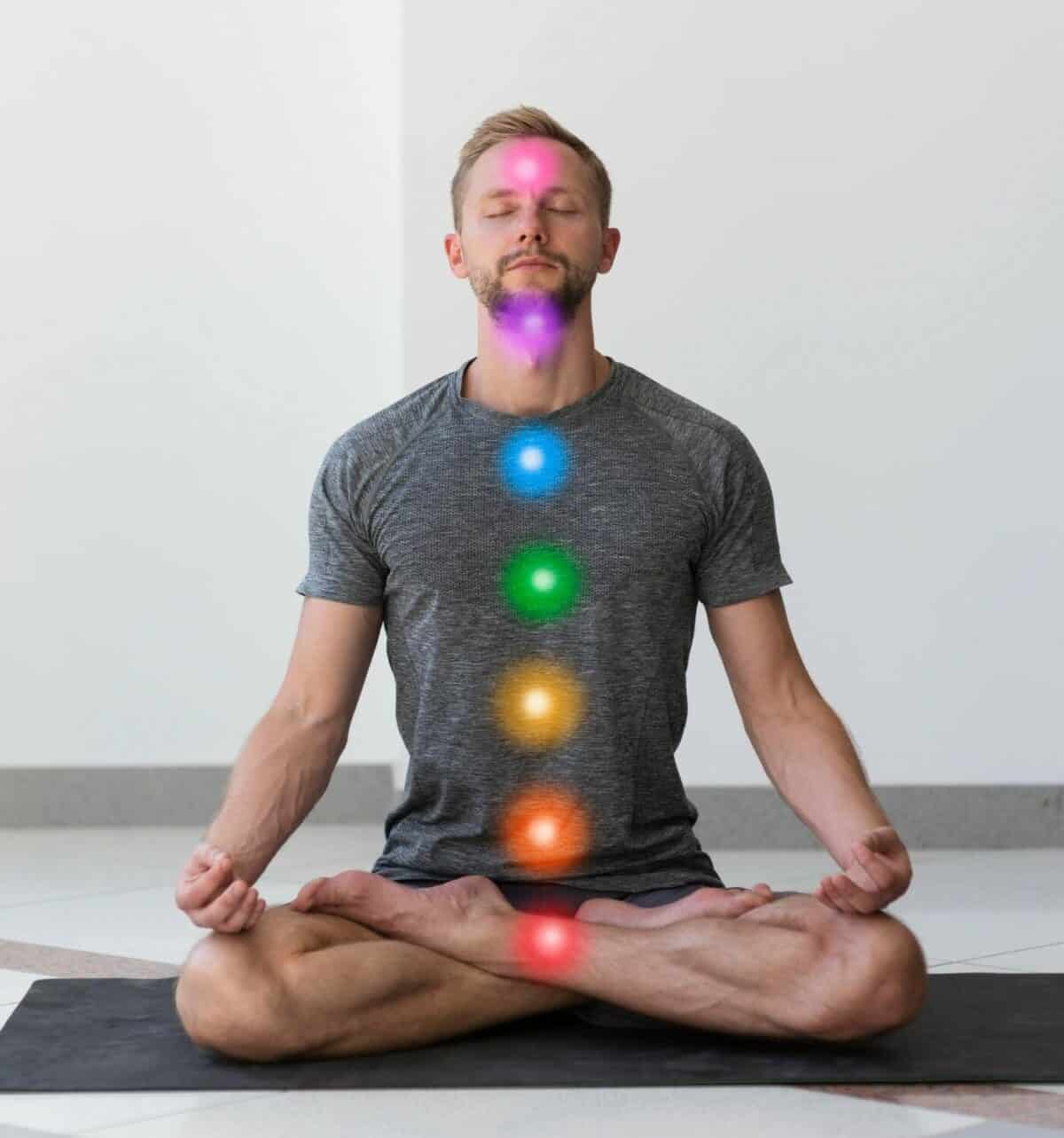 The Human Chakra System – Organic Innovation