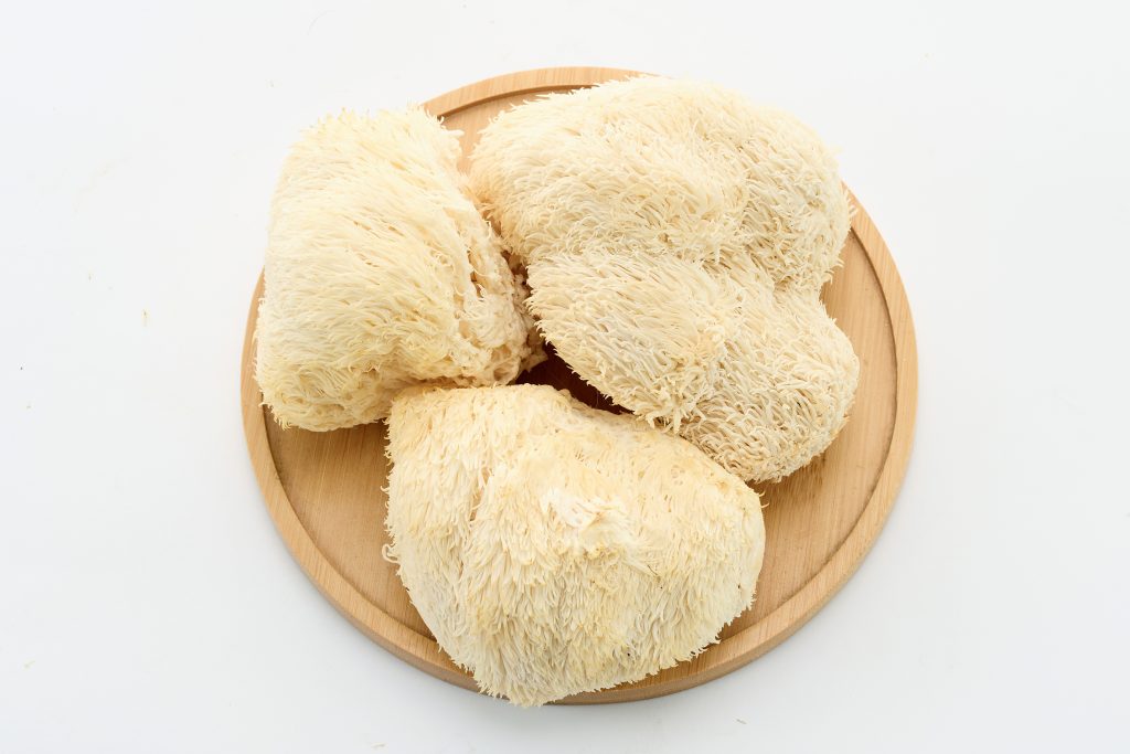 Lion’s Mane and Cordyceps: Benefits for Brain & Body